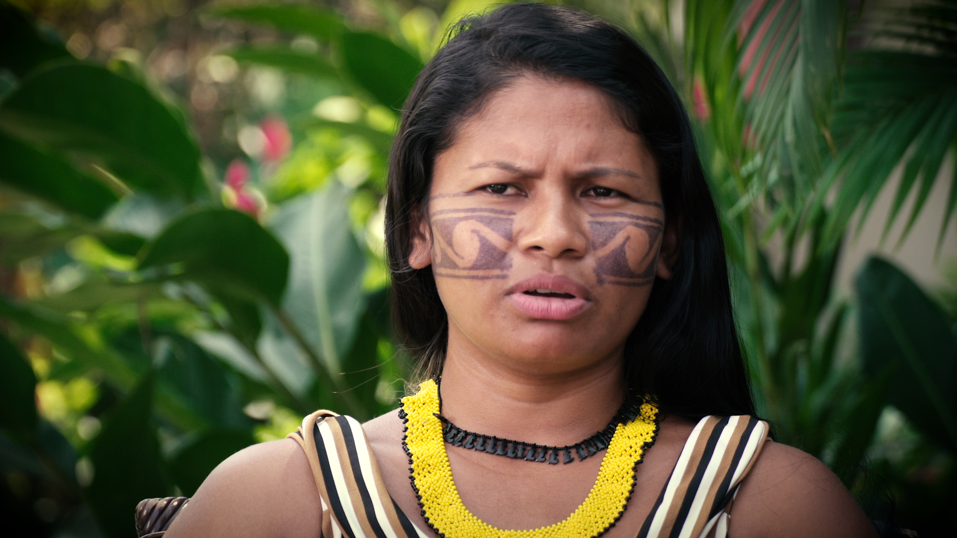 Capacity Building Tools - International Rivers