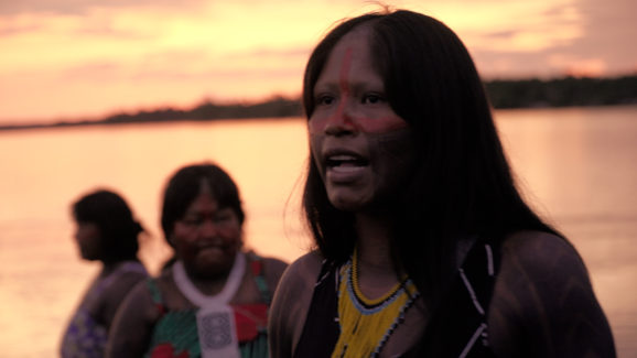 Consultation Protocols: Instrument for the Defense of Territories and ...