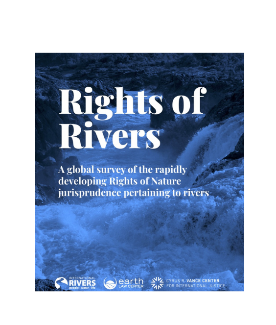 Rights of Rivers: A pathway for protection of freshwater ecosystems ...
