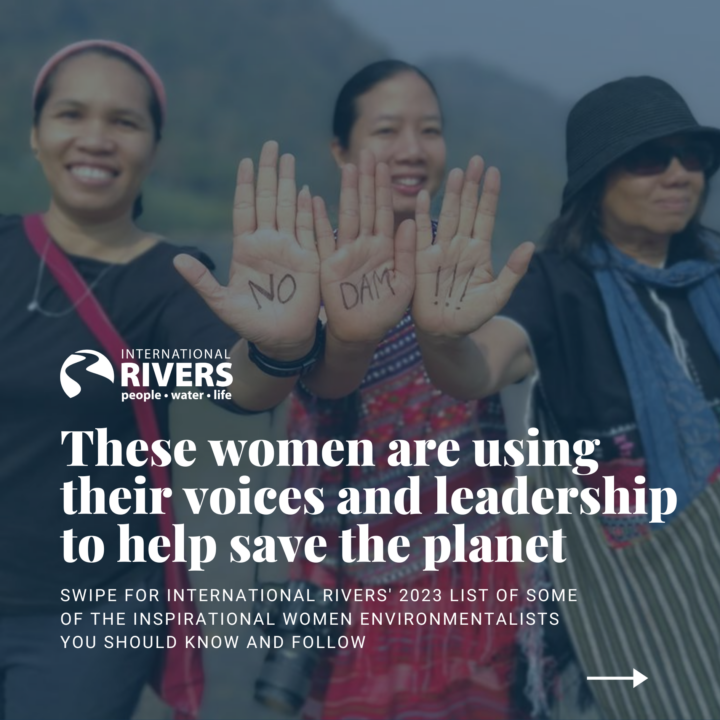 These women are using their voices and leadership to help save the ...