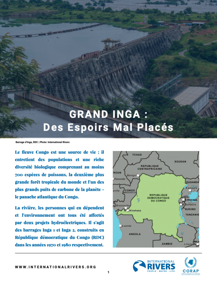 DRC Delegation Addresses the Green Hydrogen Hype in Europe ...