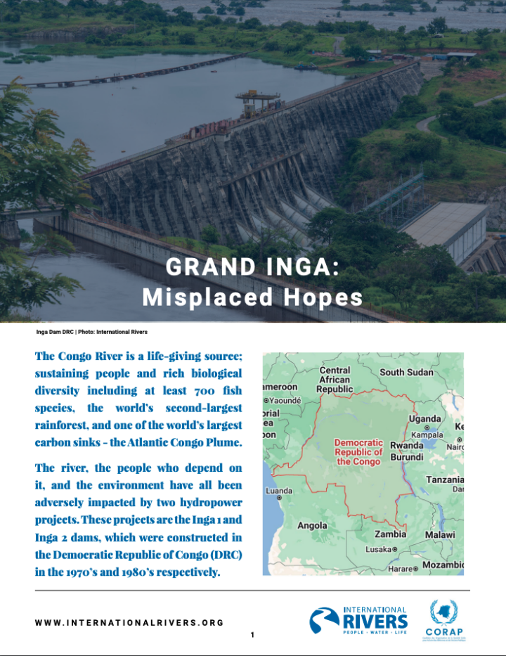 DRC Delegation Addresses the Green Hydrogen Hype in Europe ...