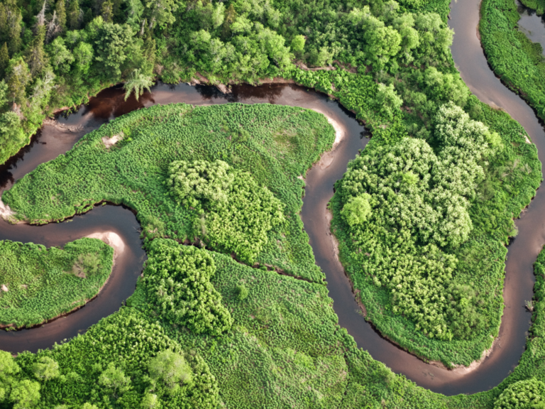 What We’re Looking Forward to at the upcoming IUCN World Congress ...