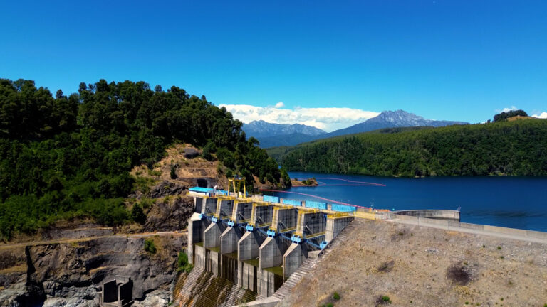 Between Dams and Flow Reserves: Rucalhue, the Biobío, and a New ...